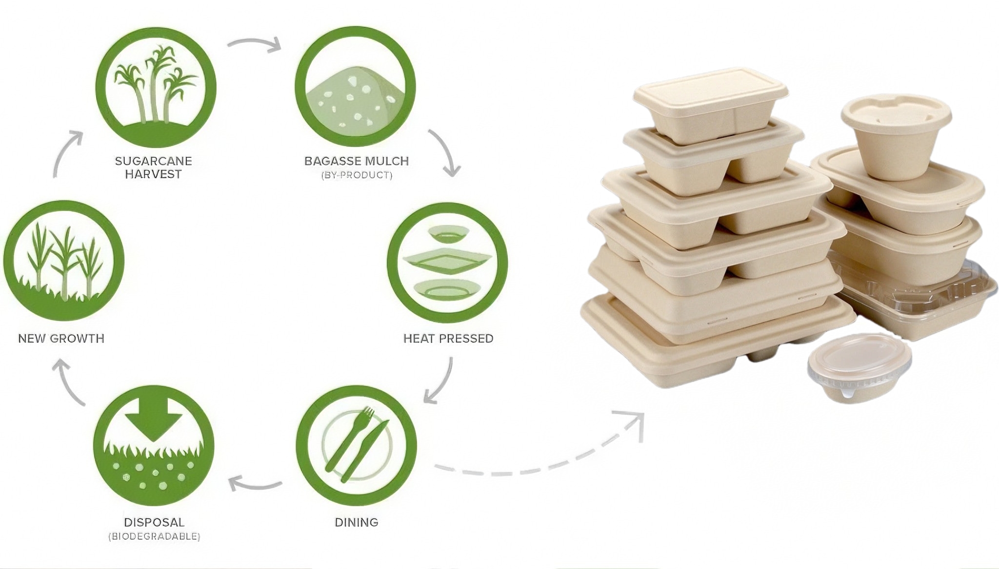 Sugarcane Bagasse Packaging Sustainable Solutions For Your Business Sugarcane Bagasse Packaging Sustainable Solutions For Your Business